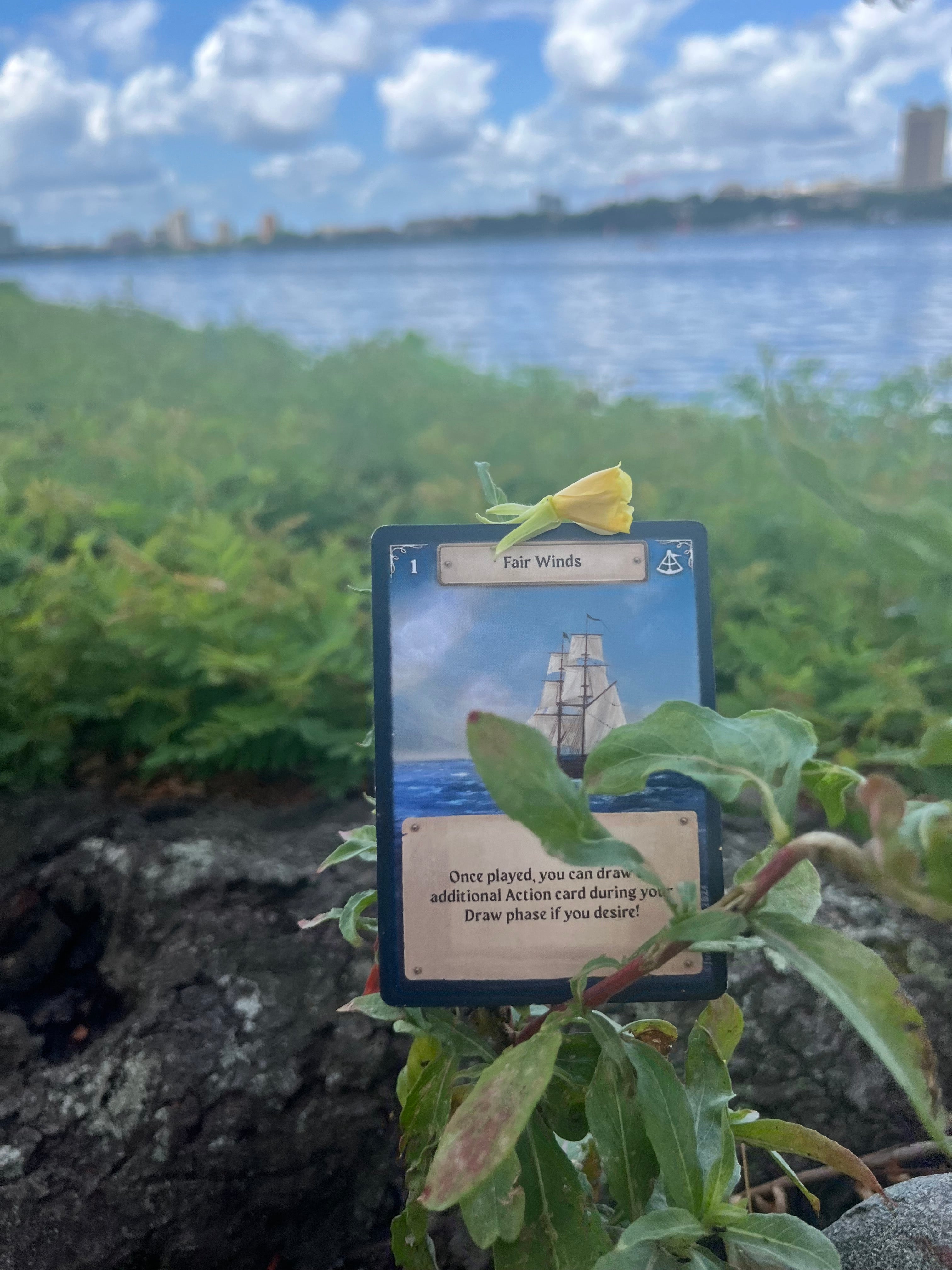 A New Chapter – Swashbuckle Game